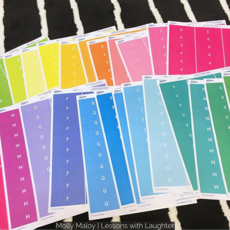 Classroom Library Organization using Book Spine Labels - Molly Maloy