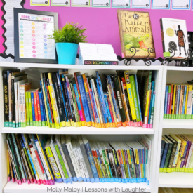 Classroom Library Organization using Book Spine Labels - Molly Maloy