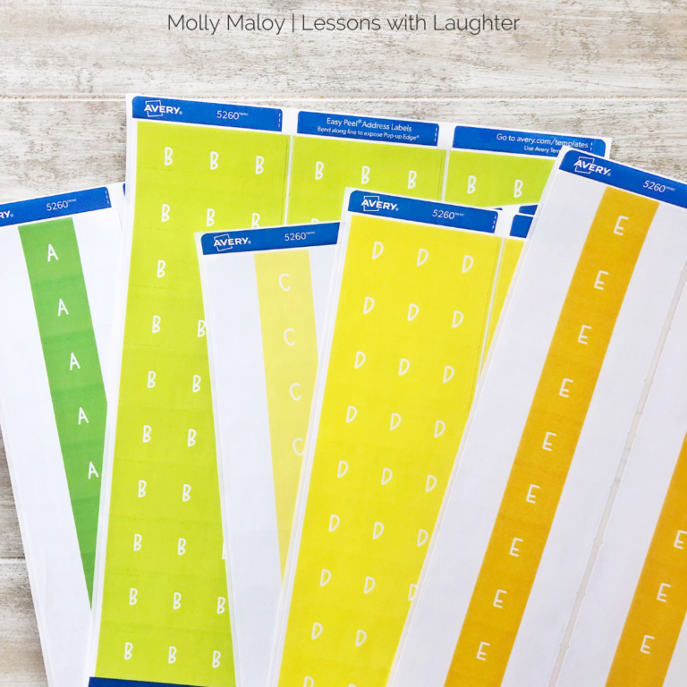 Classroom Library Organization using Book Spine Labels - Molly Maloy