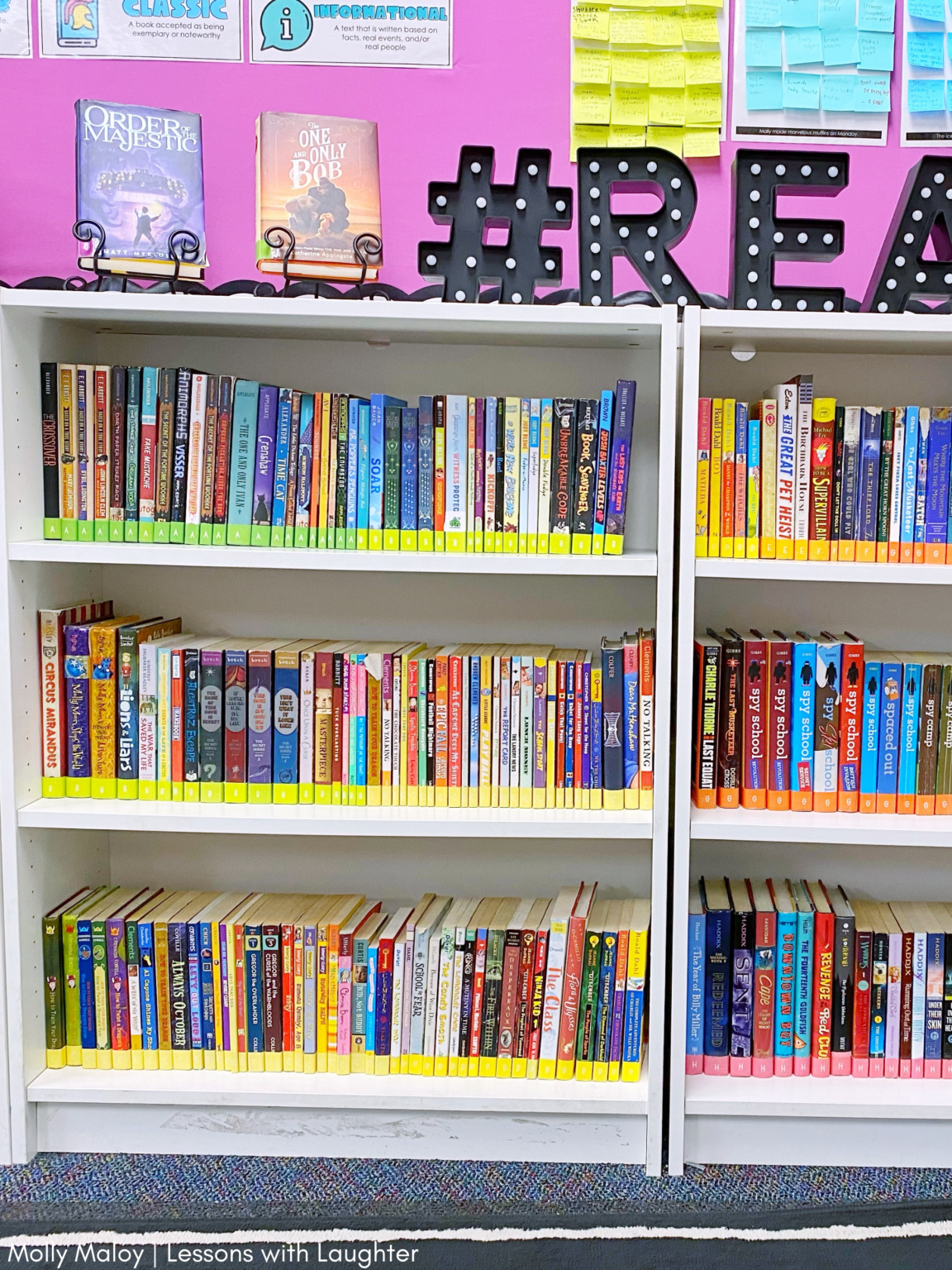 Top 8 Favorite Classroom Library Resources - Molly Maloy